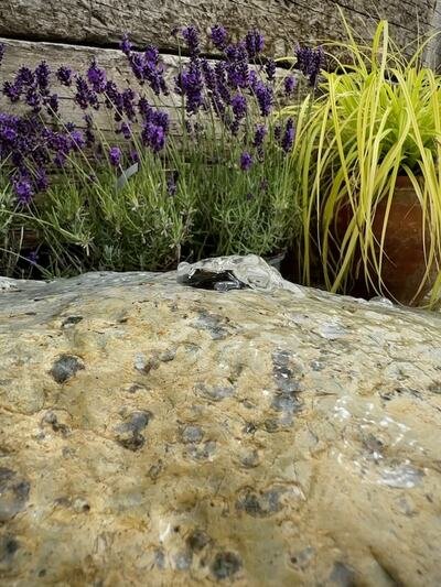 Stone Boulder SB59 Water Feature | Welsh Slate Water Features