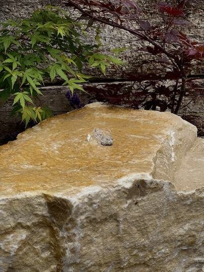 Stone Boulder SB62 Water Feature | Welsh Slate Water Features