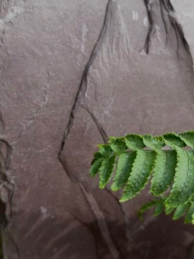 Slate Monolith SM322 Standing Stone | Welsh Slate Water Features