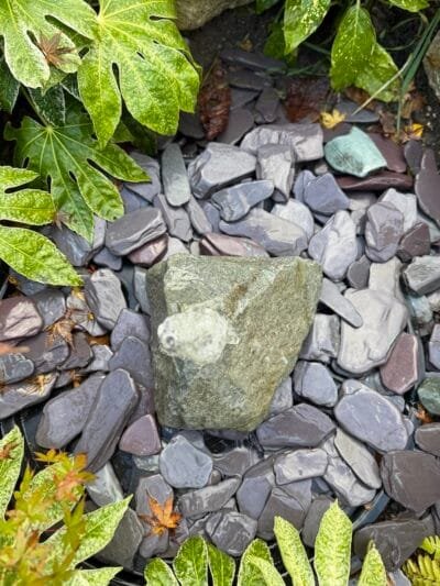 Glacial Boulder Water Feature SB192 | Welsh Slate Water Features